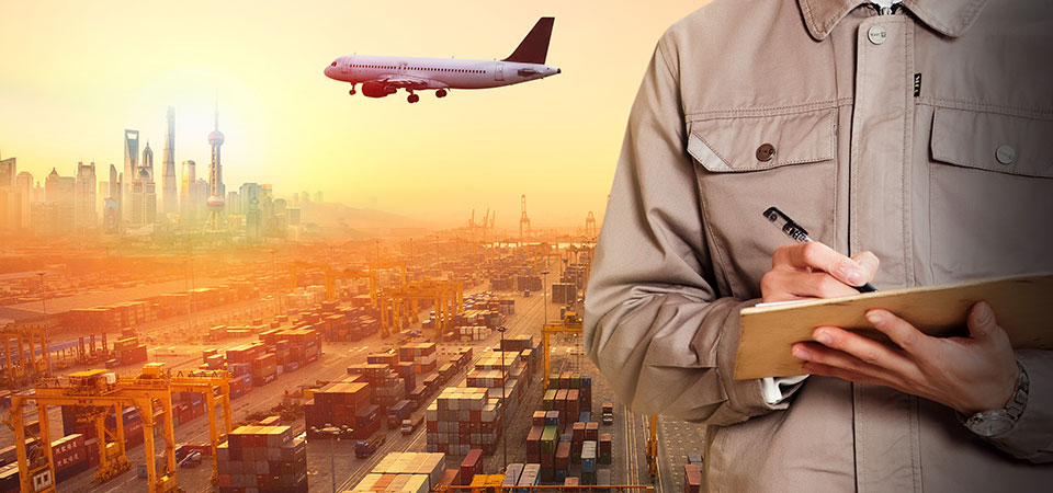 Customs Clearance / DDP - NingBo YingBai International Logistics Co.,Ltd